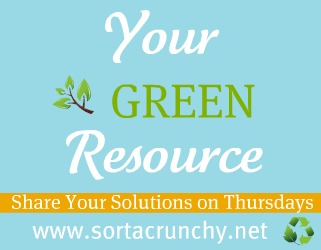 6a00e54fb985aa8833014e8c38cd13970d-800wi - The Pelsers