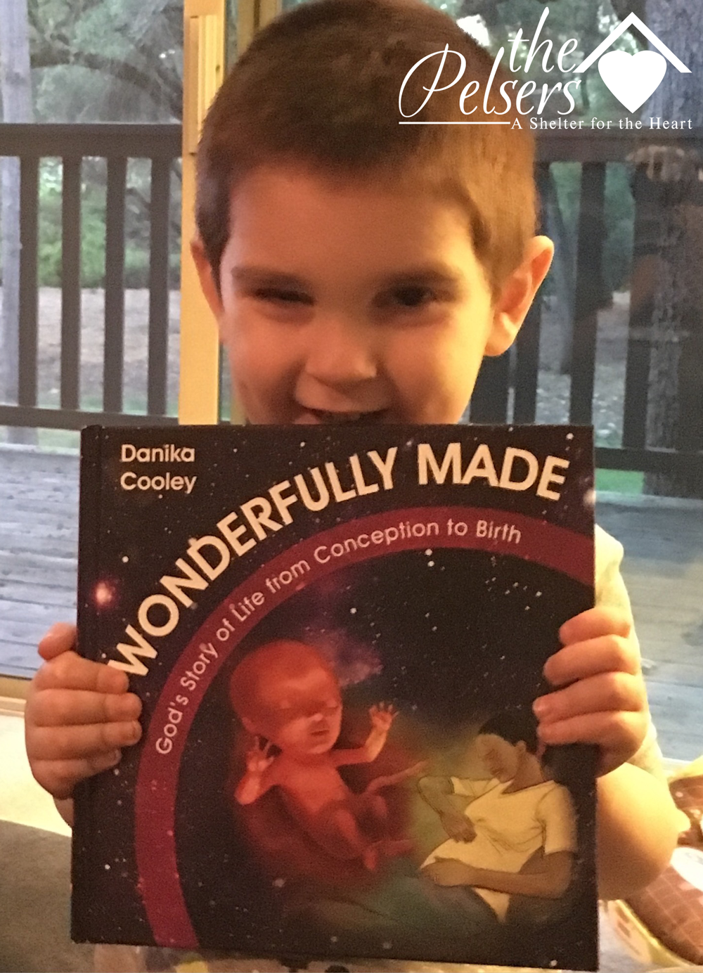 Wonderfully Made: Teaching Our Kids to Value Pre-born Life
