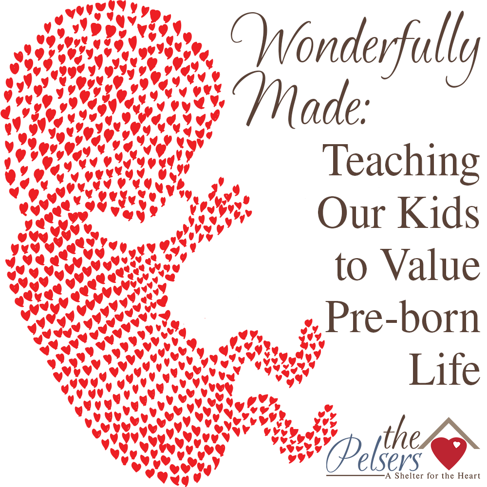Wonderfully Made: Teaching Our Kids to Value Pre-born Life