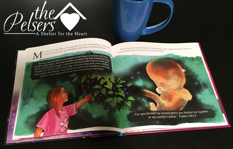 Wonderfully Made: Teaching Our Kids to Value Pre-born Life