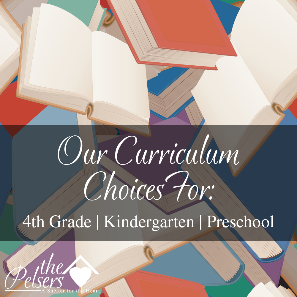 2015-2016 Curriculum Choices for Preschool, Kindergarten, & 4th Grade